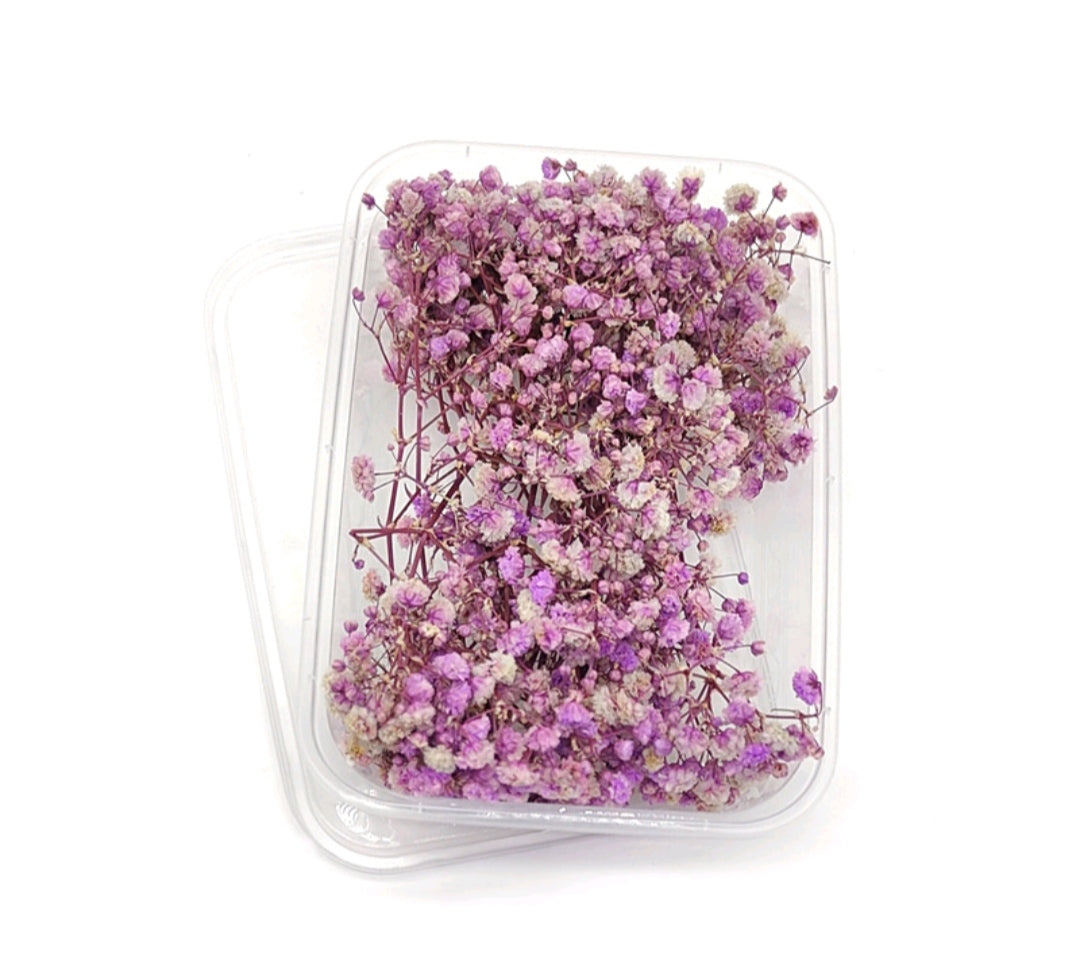Dried Gypsy Flower Box – Luxury Deco