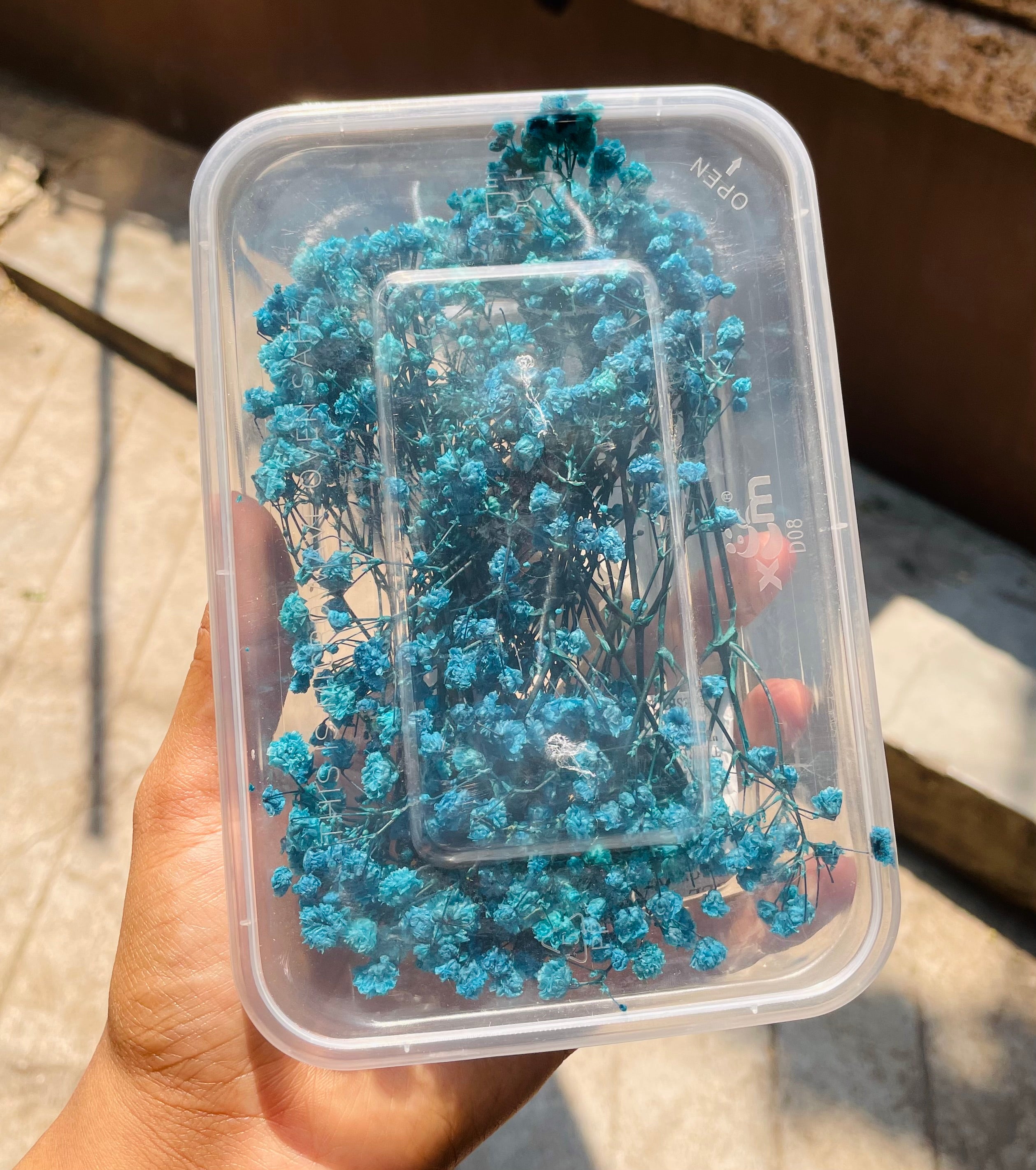 Dried Gypsy Flower Box : Blue – Luxury Deco
